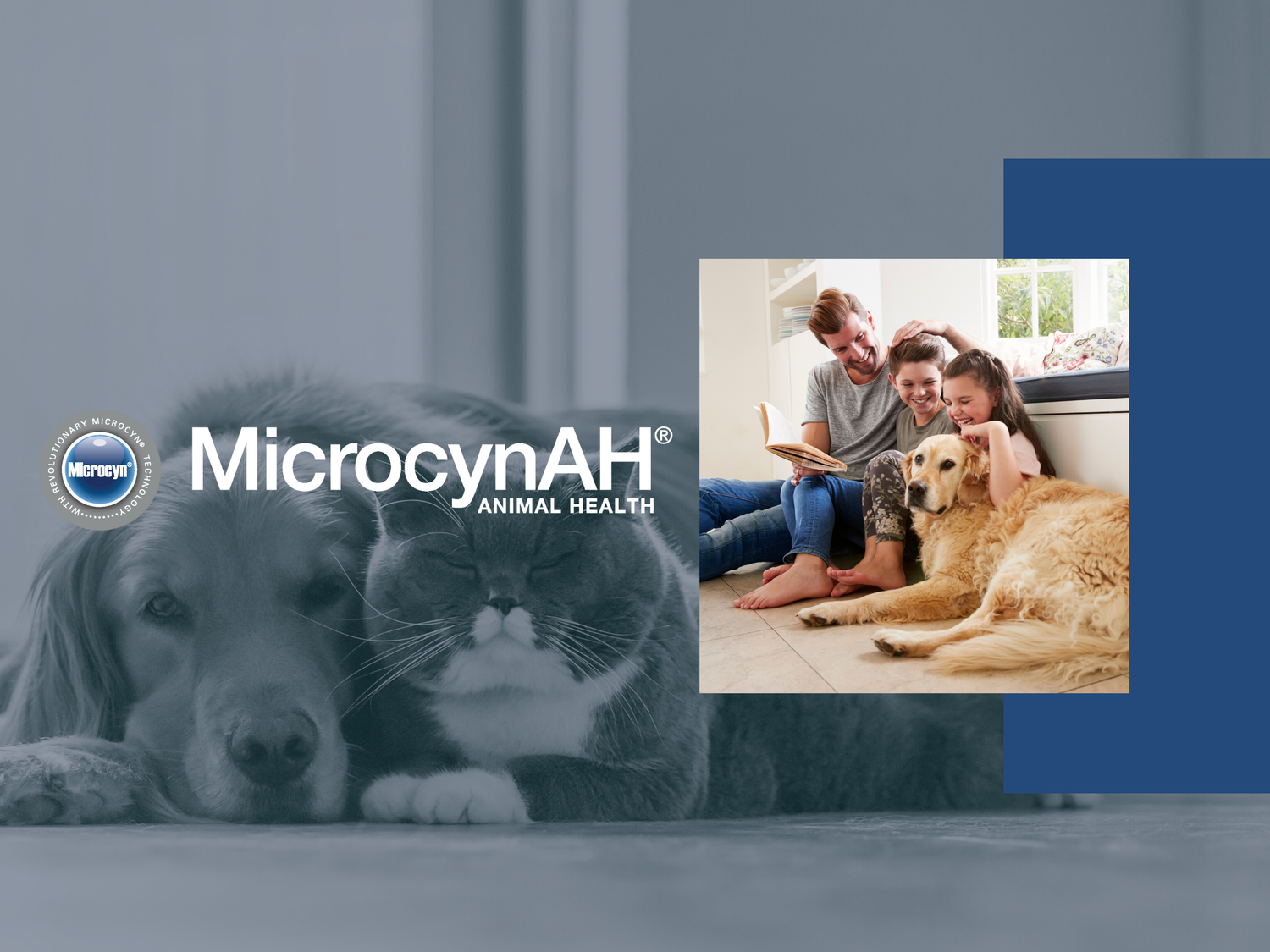 MicrocynAH® PhD Daily Regime